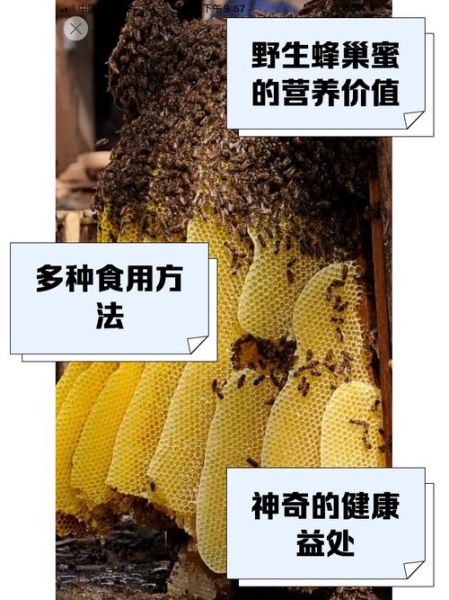 蜂巢蜜的作用与功效禁忌_哪些人不能吃-第1张图片-山城妙识