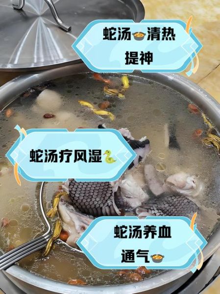 蛇煲鸡汤怎么做_蛇煲鸡汤的功效与禁忌-第1张图片-山城妙识