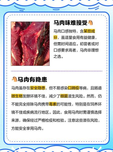 马肉的营养价值及功效禁忌_什么人不能吃马肉-第2张图片-山城妙识
