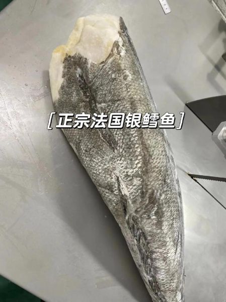 银鳕鱼图片大全大图_银鳕鱼怎么分辨真假-第3张图片-山城妙识
