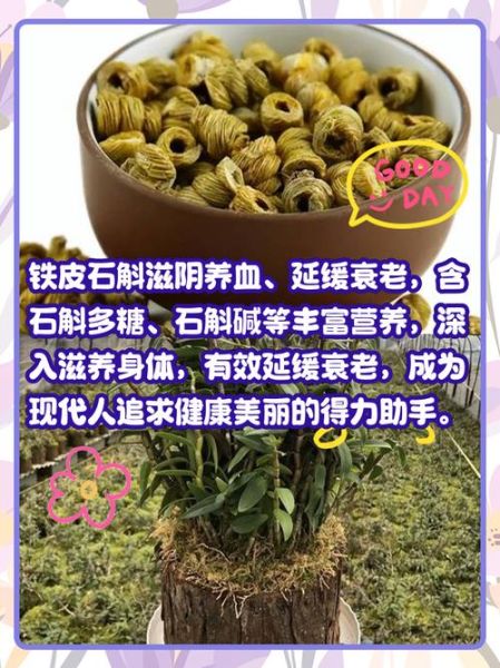 铁皮石斛泡水喝的用量_铁皮石斛一天吃多少克-第2张图片-山城妙识