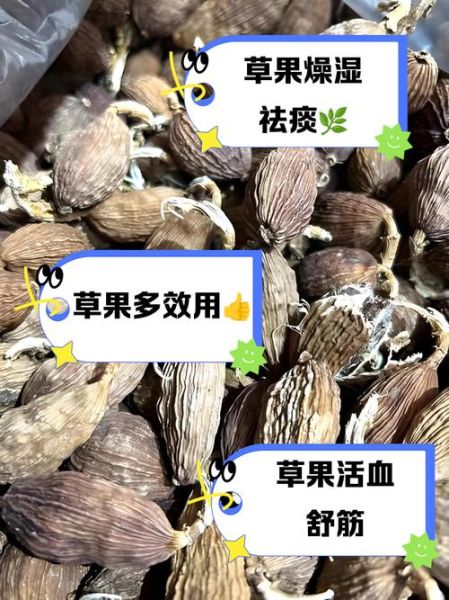 草果禁忌人群_草果与什么相克-第1张图片-山城妙识