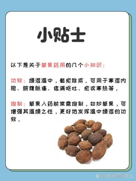 草果禁忌人群_草果与什么相克-第3张图片-山城妙识