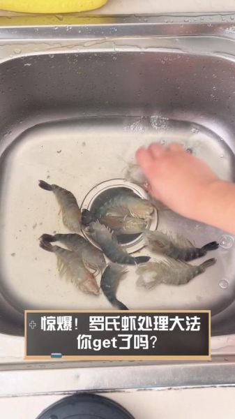 罗氏虾怎么处理干净_罗氏虾去虾线技巧-第1张图片-山城妙识