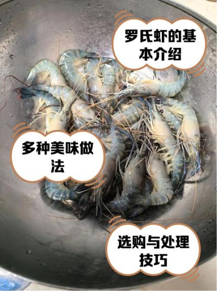 罗氏虾怎么处理干净_罗氏虾去虾线技巧-第2张图片-山城妙识