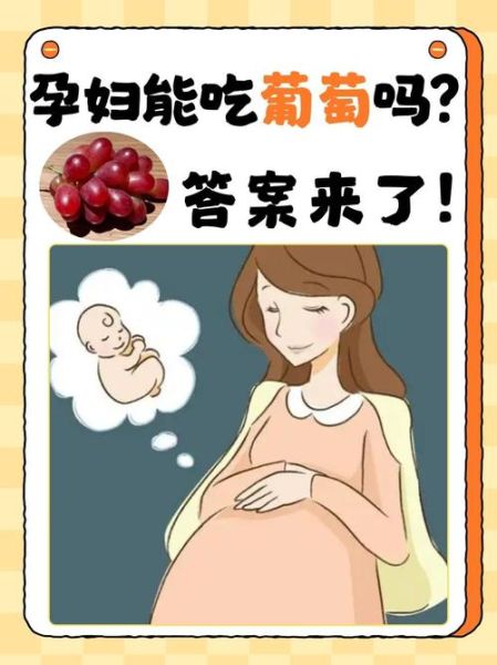 孕妇能吃葡萄吗初期_怀孕前三个月吃葡萄安全吗-第1张图片-山城妙识