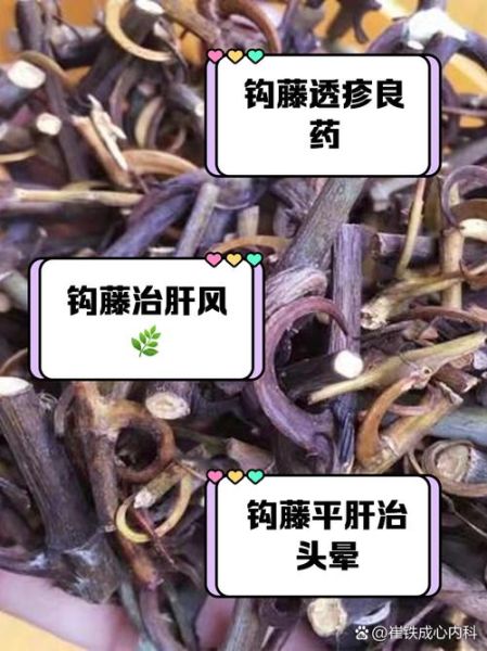 钩藤降血压效果好吗_钩藤副作用有哪些-第1张图片-山城妙识