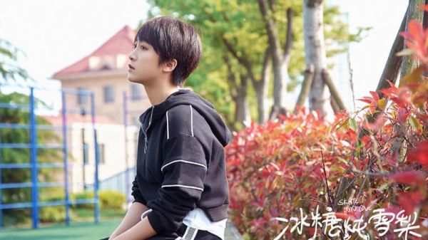 冰糖炖雪梨全集免费高清_哪里能看-第2张图片-山城妙识