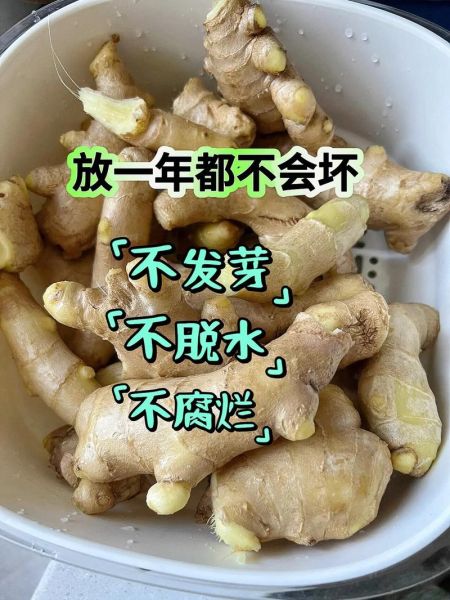 生姜怎么保存_生姜可以放多久-第1张图片-山城妙识