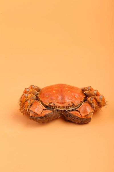 蒸熟的螃蟹怎么保存_蒸熟的螃蟹放冰箱能放多久-第3张图片-山城妙识