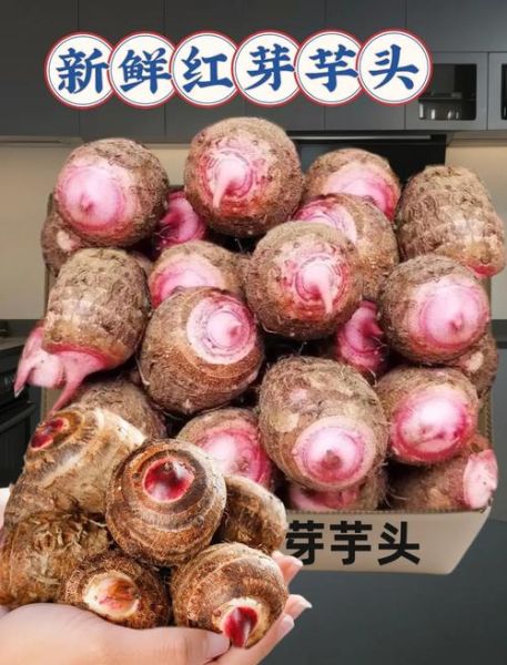 红芽芋头有什么功效_红芽芋头适合什么人吃-第3张图片-山城妙识