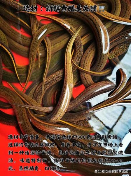 黄鳝怎么做好吃_黄鳝最好吃的做法-第3张图片-山城妙识 黄鳝怎么做好吃_黄鳝最好吃的做法-第3张图片-山城妙识