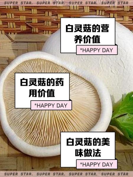 白灵菇孕妇可以吃吗_孕期吃白灵菇注意事项-第1张图片-山城妙识