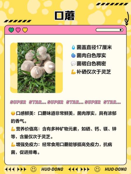 白灵菇孕妇可以吃吗_孕期吃白灵菇注意事项-第2张图片-山城妙识