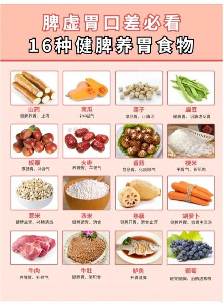 健脾养胃食物有哪些_脾虚吃什么调理最快-第3张图片-山城妙识