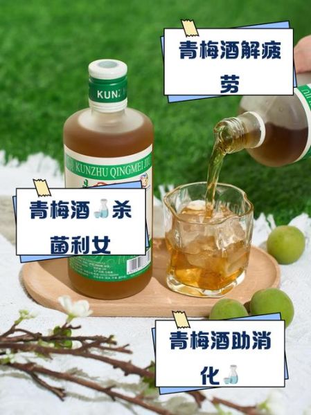 女人喝青梅酒的功效与作用_青梅酒对女性的好处有哪些-第2张图片-山城妙识
