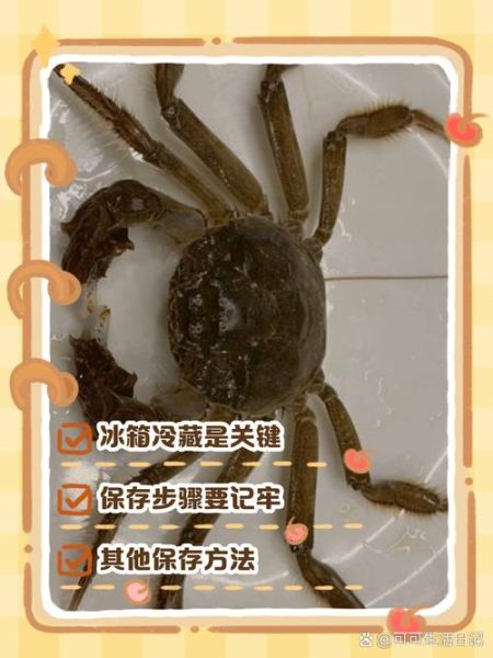螃蟹怎么保存才能活的久一点_活螃蟹存放技巧-第2张图片-山城妙识