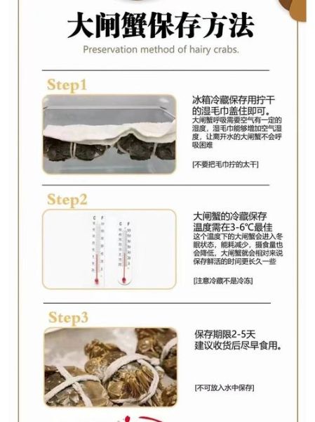 螃蟹怎么保存才能活的久一点_活螃蟹存放技巧-第3张图片-山城妙识