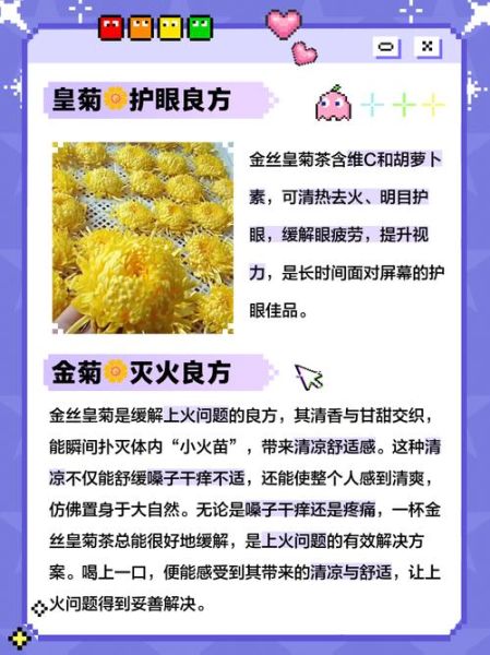 金菊花功效与作用_金菊花泡水喝的禁忌-第2张图片-山城妙识