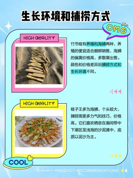 竹蛏王怎么挑选_竹蛏王和竹蛏的区别-第1张图片-山城妙识