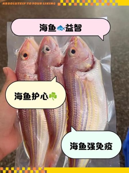 海鱼儿怎么养_海鱼儿吃什么-第2张图片-山城妙识