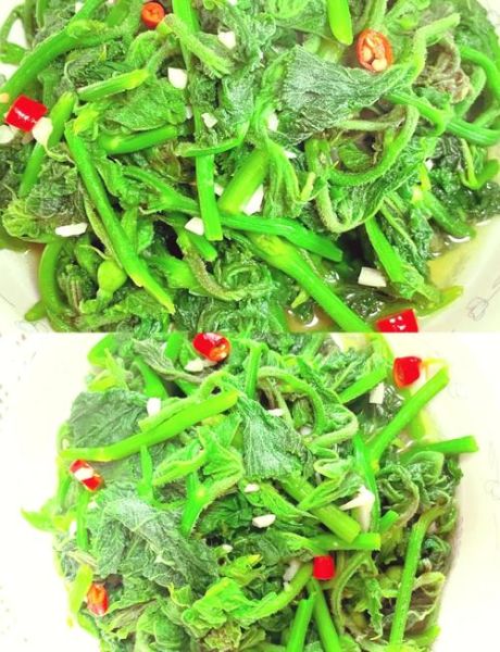 菜尖怎么炒好吃_菜尖做法大全家常做法-第3张图片-山城妙识 菜尖怎么炒好吃_菜尖做法大全家常做法-第3张图片-山城妙识