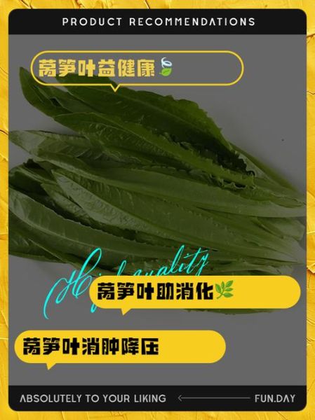 莴苣叶子的副作用有哪些_莴苣叶子吃多了会中毒吗-第1张图片-山城妙识