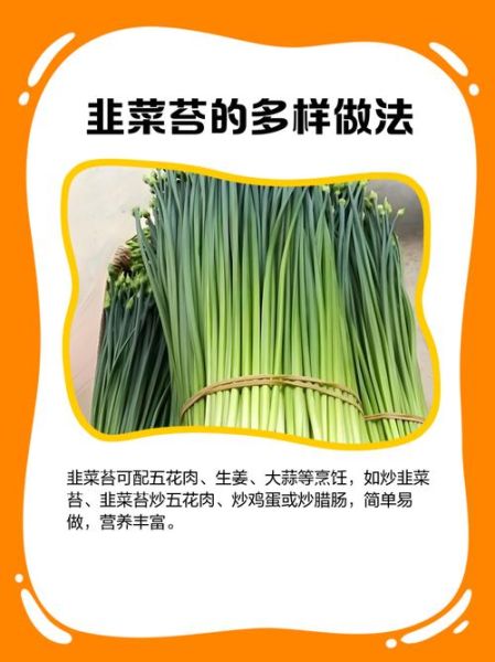 韭菜苔的功效与作用禁忌_哪些人不能吃-第1张图片-山城妙识