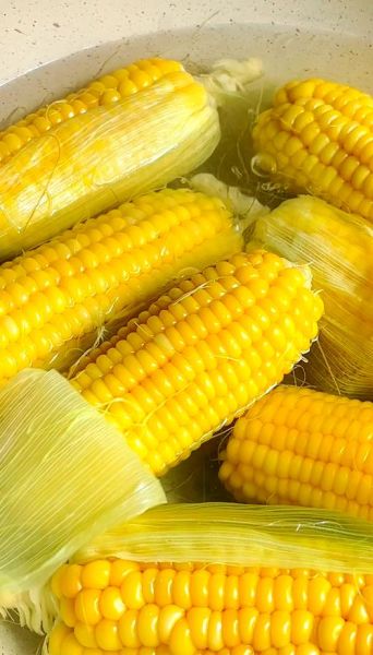 煮玉米需要放什么调料_玉米怎么煮才香甜-第1张图片-山城妙识