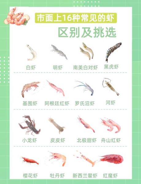 虾的种类图片大全_常见虾类如何区分-第2张图片-山城妙识