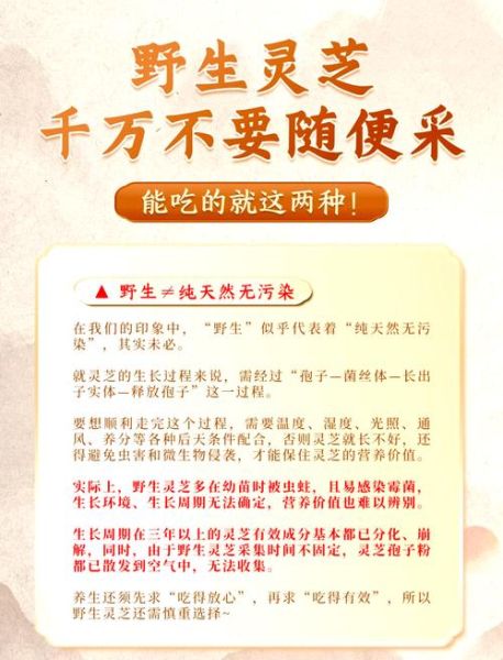 野生灵芝怎么吃_野生灵芝食用方法-第1张图片-山城妙识