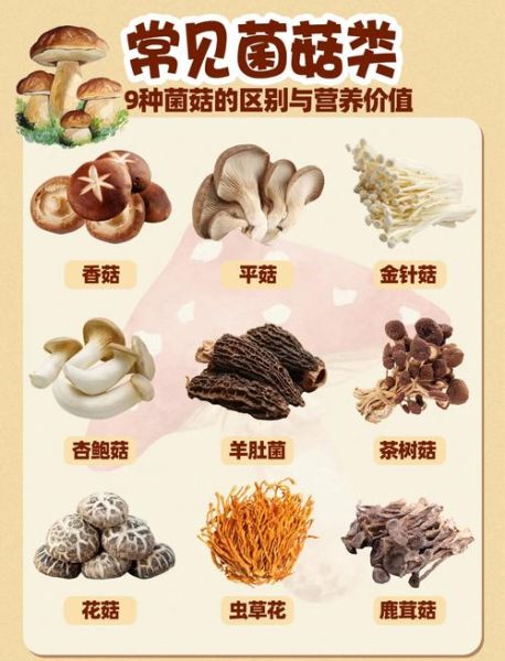 菌类大全有哪些_常见食用菌如何辨别-第1张图片-山城妙识