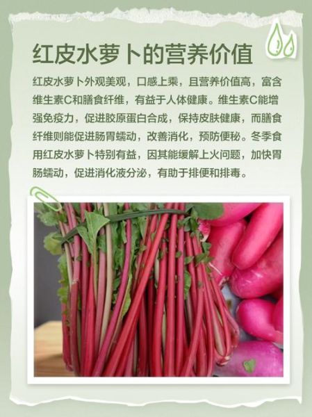 红皮萝卜能治痛风吗_痛风吃红皮萝卜有用吗-第2张图片-山城妙识 红皮萝卜能治痛风吗_痛风吃红皮萝卜有用吗-第2张图片-山城妙识