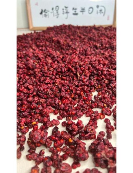 五味子多少钱一斤_野生五味子价格-第2张图片-山城妙识