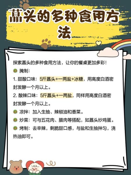 藠头怎么读_藠头是什么植物-第1张图片-山城妙识