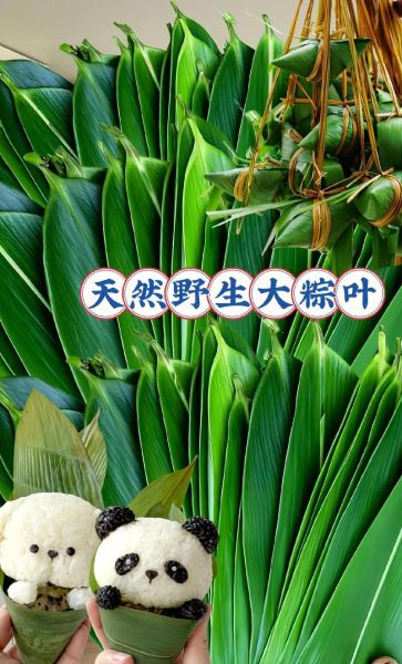 粽叶有哪几种_粽叶种类区别-第2张图片-山城妙识