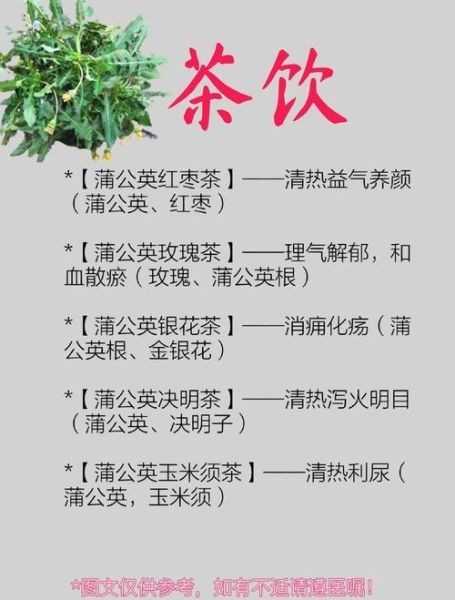 蒲公英有什么好处_蒲公英的功效与作用-第1张图片-山城妙识