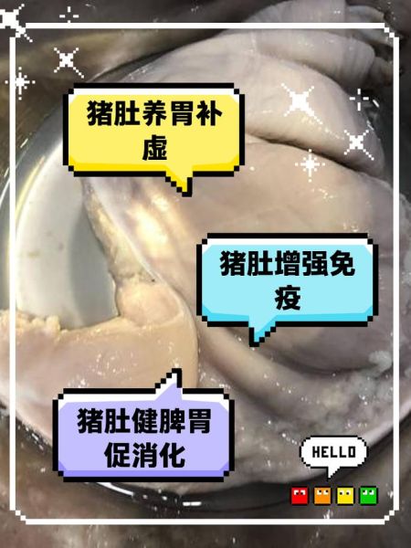 猪肚吃多了有什么坏处_猪肚胆固醇高吗-第1张图片-山城妙识