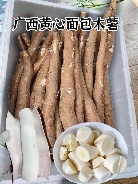 面包木薯的功效与作用_面包木薯怎么吃最健康-第2张图片-山城妙识