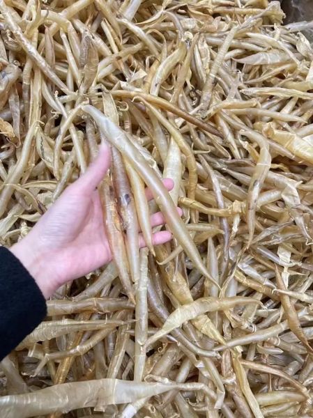 鳗鱼胶的功效与作用_鳗鱼胶的禁忌人群有哪些-第1张图片-山城妙识