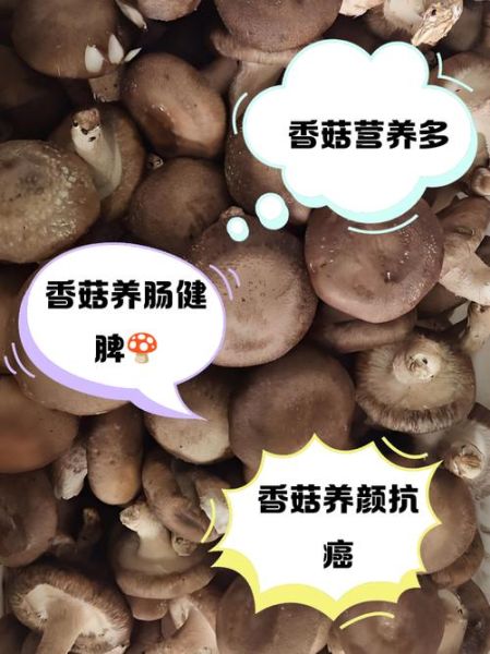 香菇的功效与作用_香菇怎么吃最有营养-第3张图片-山城妙识