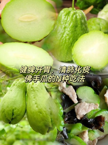 佛手瓜可以生吃吗_佛手瓜怎么吃好吃-第2张图片-山城妙识