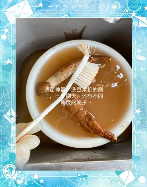 鸡纵菌图片高清_鸡纵菌怎么辨别真假-第3张图片-山城妙识