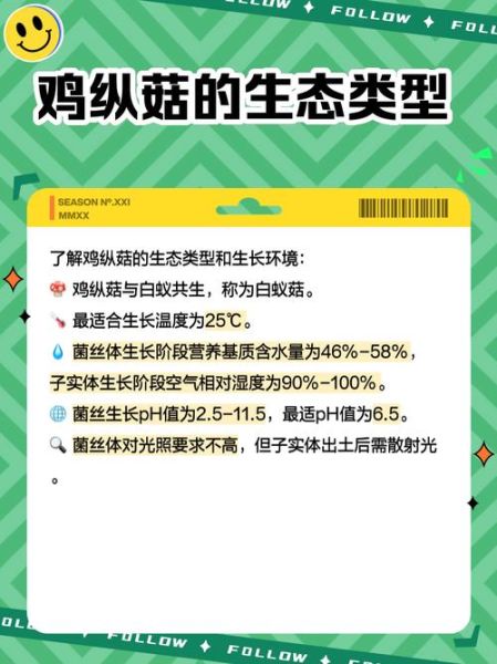 鸡纵菌图片高清_鸡纵菌怎么辨别真假-第2张图片-山城妙识