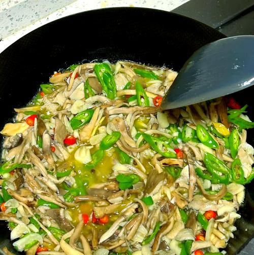 鸡纵菌图片高清_鸡纵菌怎么辨别真假-第1张图片-山城妙识