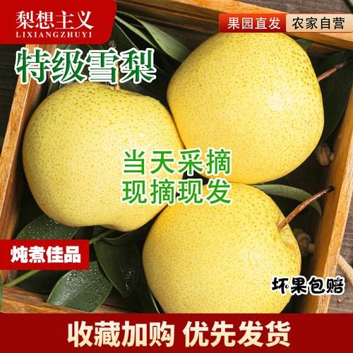 雪梨和鸭梨的区别图片_哪个更甜-第3张图片-山城妙识