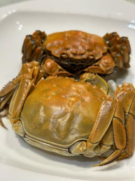 螃蟹图片大全_真实高清图哪里找-第2张图片-山城妙识