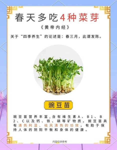 芽菜是什么_芽菜有哪些种类-第2张图片-山城妙识