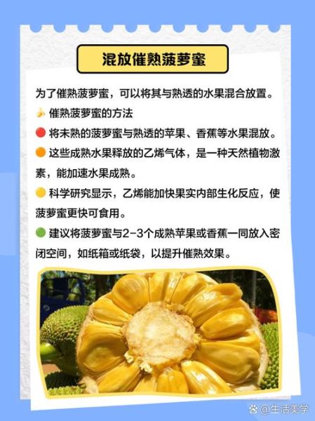 菠萝蜜太难吃了怎么办_为什么有人觉得臭-第3张图片-山城妙识