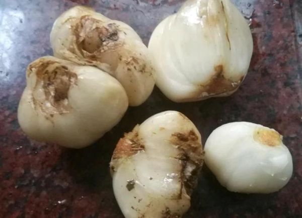 百合怎么做好吃_百合做菜有哪些做法-第3张图片-山城妙识